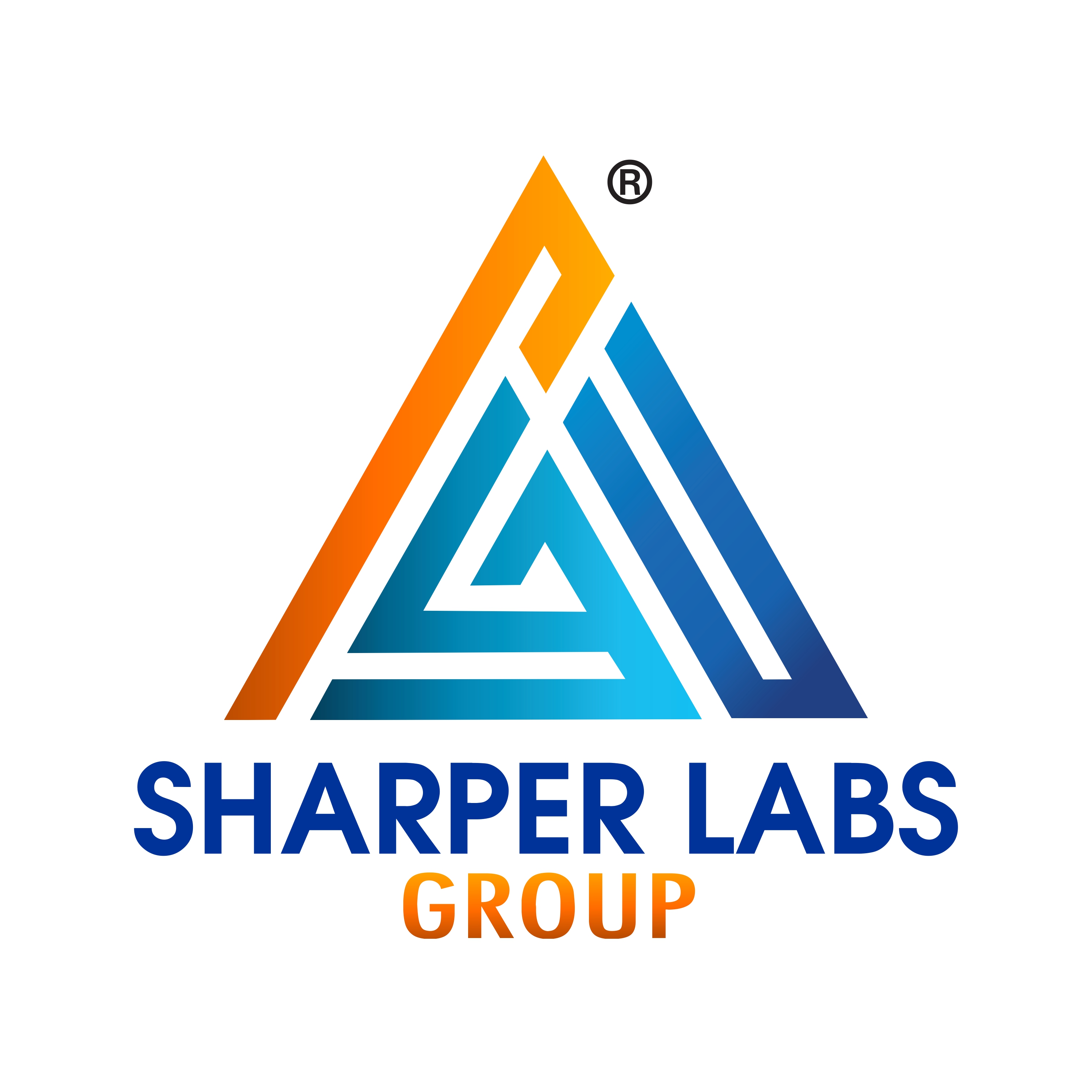 Senior Web Developer (remote) - Job Labs